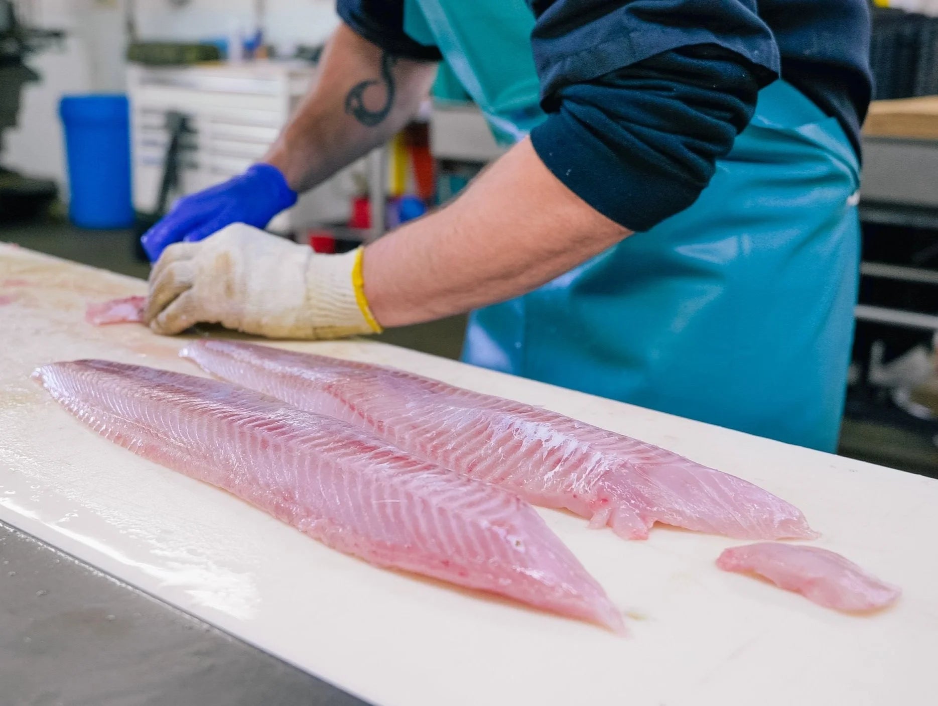 Ling Cod Fillet – Hook To Table Ltd.